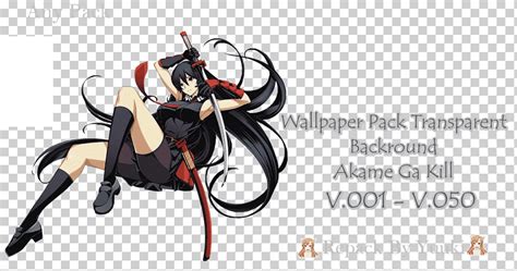 Akame Ga Matar Anime Fan Art Rendering Anime Personaje De Ficción Dibujos Animados Otaku
