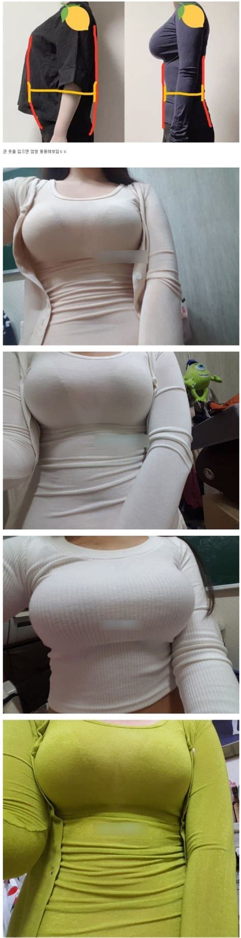 웹진 인벤 가슴큰 여자들이 크롭티 안입는 이유 오픈이슈갤러리