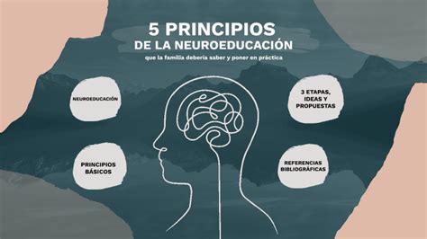 5 principios de la Neuroeducación by Miguel Sánchez on Prezi