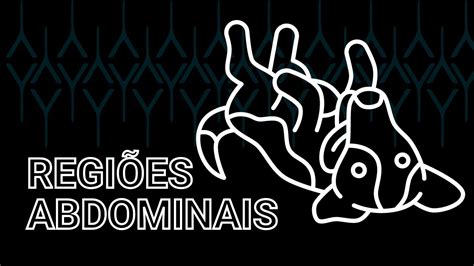 Regiões Abdominais Anatomia Veterinária YouTube