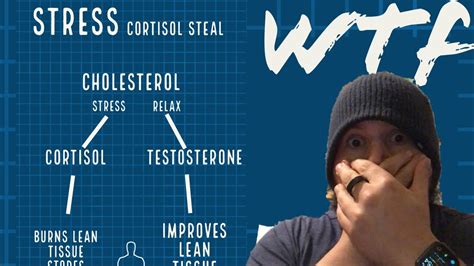 The Cortisol Steal Explained YouTube
