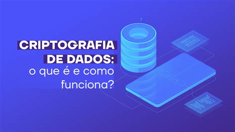 Criptografia de dados saiba o que é e como funciona