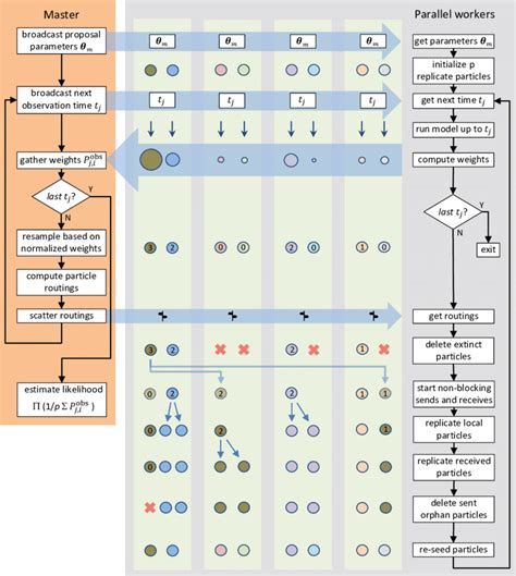 flowchart of the parallel particle filtering algorithm with adaptive download scientific