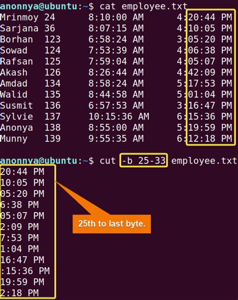The Cut Command In Linux 8 Practical Examples LinuxSimply