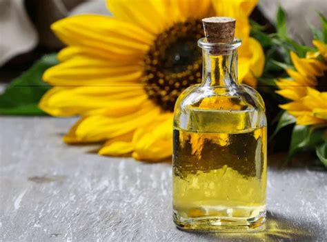 Amazing Benefits Of Sunflower Oil For Skin ChicxVille