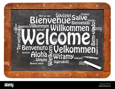 Bienvenue Dans Diff Rentes Langues Un Nuage De Mots Dans Un Texte De