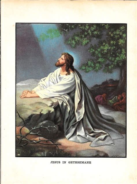 Garden Of Gethsemane Story Gardenbz