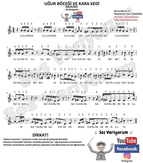 Mucize Uğurböceği ve Karakedi Melodika Notaları ve Çalınışı Melodika