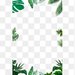 Png Png Kuaipng