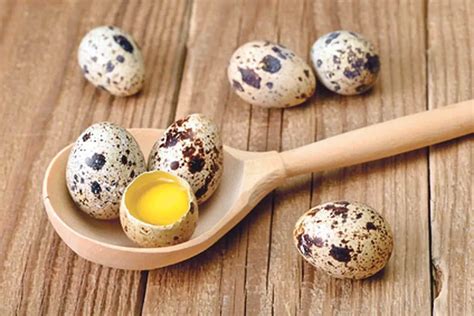 HUEVOS DE CODORNIZ Información Propiedades Proteínas y más