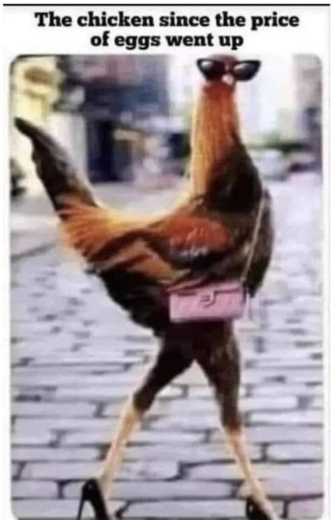 Collection Of The Funniest Egg Prices Memes Funtastic Life
