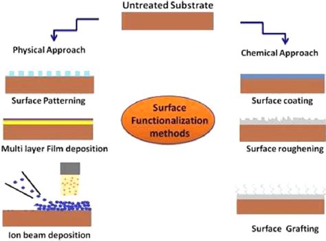 Schematic Diagram For Various Surface Functionalization Techniques