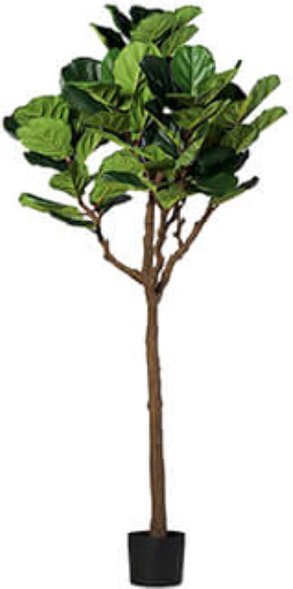 Kunstplant Ficus Lyrata Tabaksplant Kamerplant By Mooss
