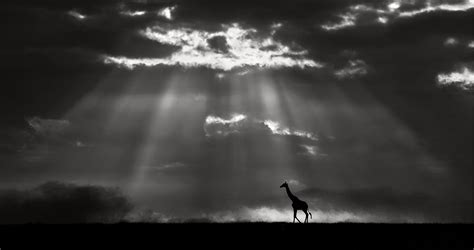 Las Mejores Fotograf As En Blanco Y Negro De En Los Monochrome