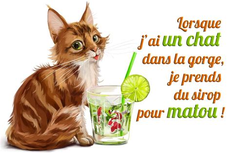 Cartes Virtuelles Blague Carte Virtuelle Joliecarte Humor Messages