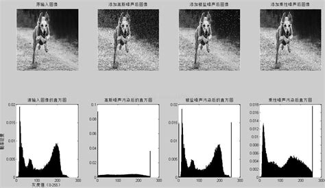 数字图像处理，经典滤波算法去噪对比实验（matlab实现） 图像去噪前后对比 csdn博客