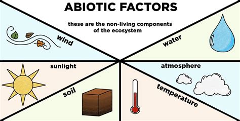 Abiotic Components Of Ecosystems Definition Examples Expii