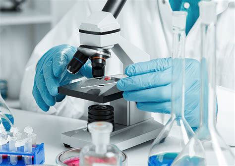 Exames Laboratoriais Principais Tipos E Como Se Preparar Magscan