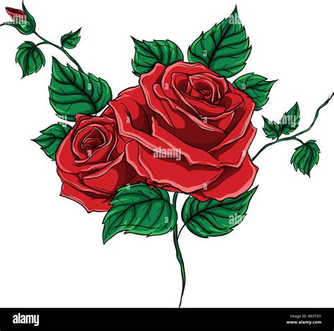 Ilustración vector hermoso ramo de rosas rojas y hojas Arreglos