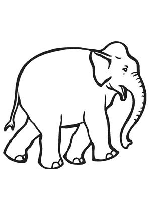 Ausmalbild Junger Elefant Zum Ausdrucken