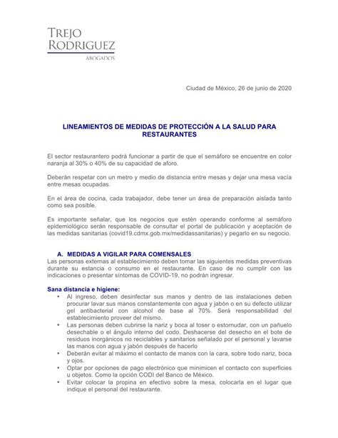 PDF LINEAMIENTOS DE MEDIDAS DE PROTECCIÓN DOKUMEN TIPS