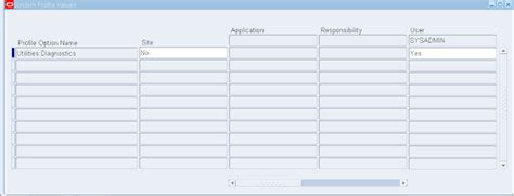 Apps Dba Material Enable Diagnostics In Oracle Apps