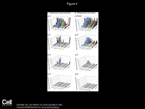 coding of odors by a receptor repertoire ppt download