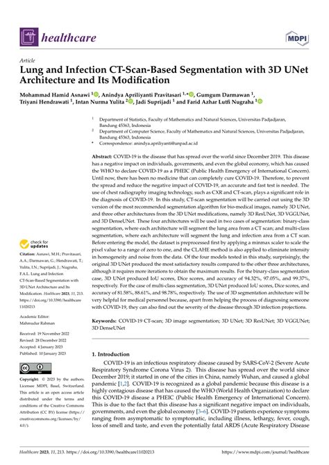 pdf lung and infection ct scan based segmentation with 3d unet architecture and its modification