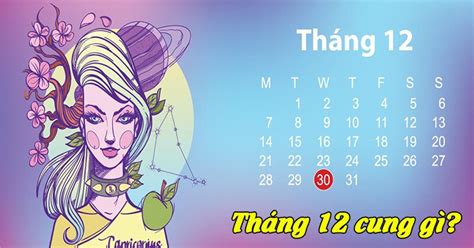 Ngày 25 12 là cung gì Tìm hiểu về cung Ma Kết và những điều thú vị