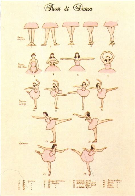 Postcard Passi Di Danza Passi Di Danza Danza Posizioni Di Danza