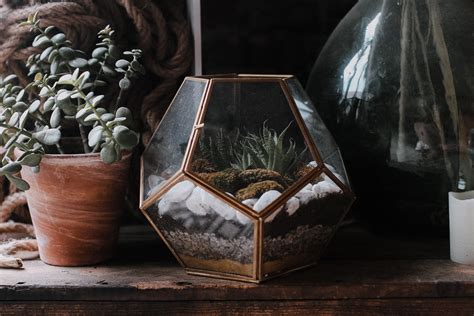 Fabriquer un terrarium soi même Toutes les étapes DIY Tuto botanique