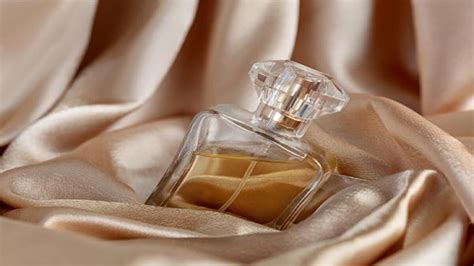 Difference Between Perfume Cologne Perfume Vs Cologne