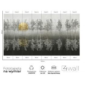 Fototapeta las na wymiar Sprawdź kolekcję fototapet 4wall pl