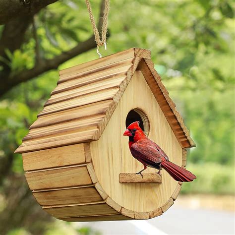 Introduzir 56 Imagem Casas Para Pajaros Abzlocal Mx