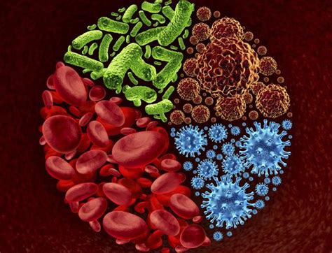 Adolescente Variante Permuta Imagenes Sobre Las Bacterias Presupuesto