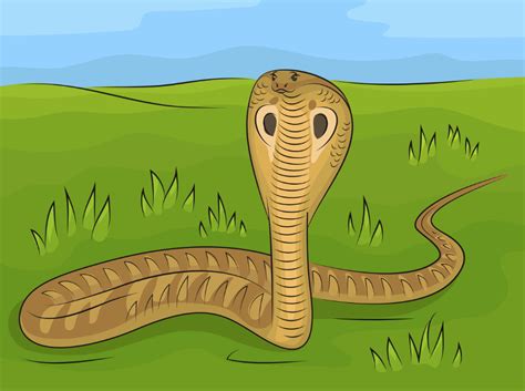 King Cobra Vector Free Stock Illustrations Creazilla
