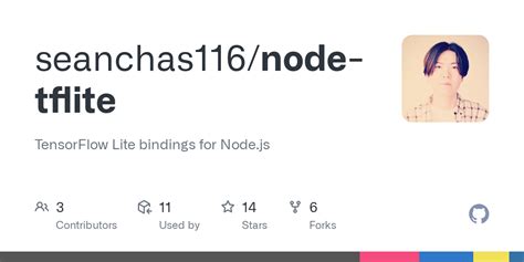 Node Tflite Examples Electron Mediapipe Face Face Detection Front