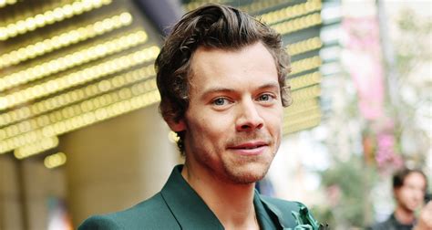 Harry Styles Splits His Pants Mid Concert At The Forum Harry Styles
