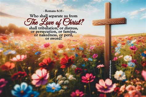 Romans 8 35 KJV KJV Bible Verses