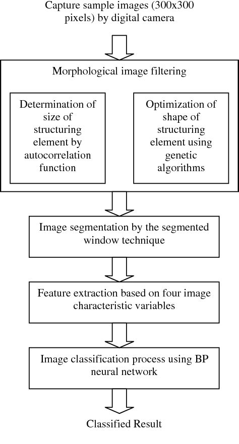 figure 1 from a hybrid model using genetic algorithm and neural network for classifying garment