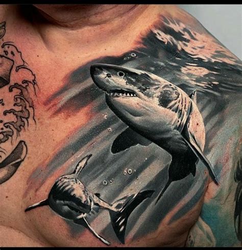 Aggregate Realistic Great White Shark Tattoo In Cdgdbentre