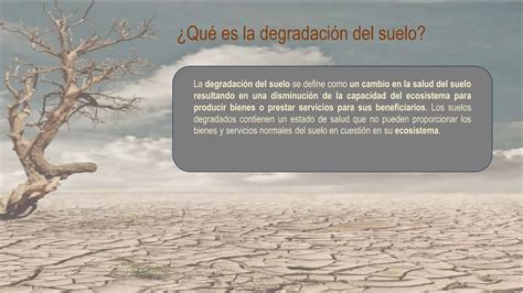 La degradación del suelo causas y efectos PPT Descarga Gratuita