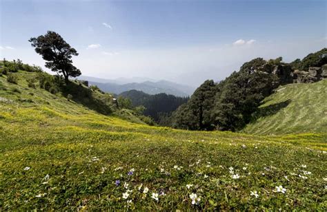 Best Hill Stations Near Delhi That You Can T Miss In