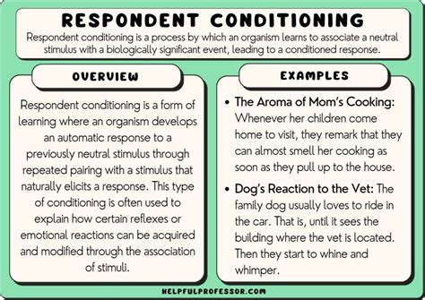 Respondent Conditioning Examples Definition Overview