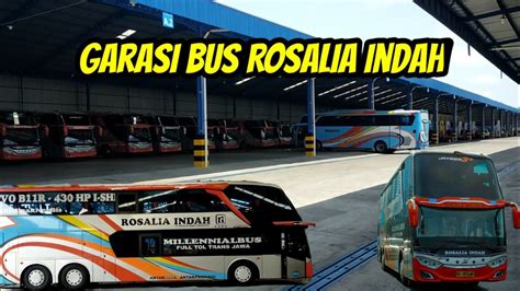 Garasi PO Bus Rosalia Indah YouTube
