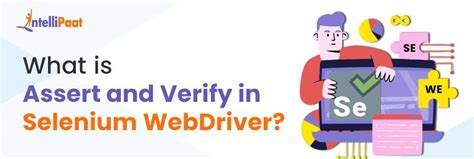 assert and verify methods in selenium webdriver how to use them