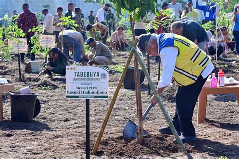 FOTO Lestarikan Tanaman Endemik NTT Presiden Jokowi Tanam Pohon Cendana