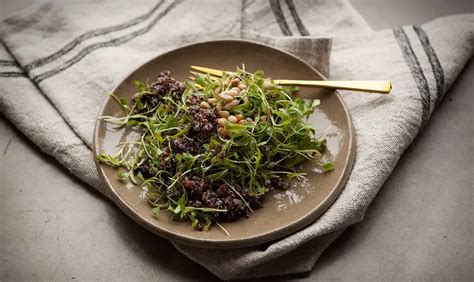 Quinoa Microgreens Best Helpful Growing Tips Review