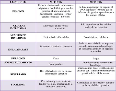 Cuadros Comparativos De La Mitosis Y Meiosis Descargar
