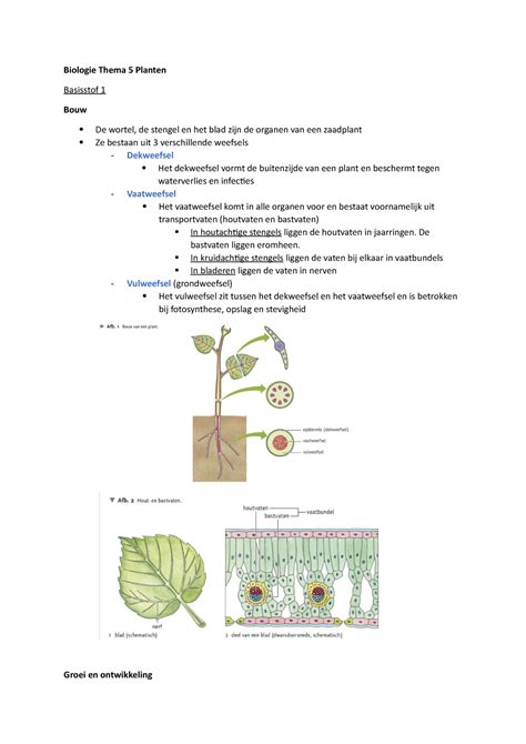 Biologie Samenvatting VWO5 Thema 5 Planten Biologie Thema 5 Planten
